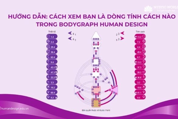 Cách Bodygraph giúp một người thành công trong sự nghiệp - Humandesign ...